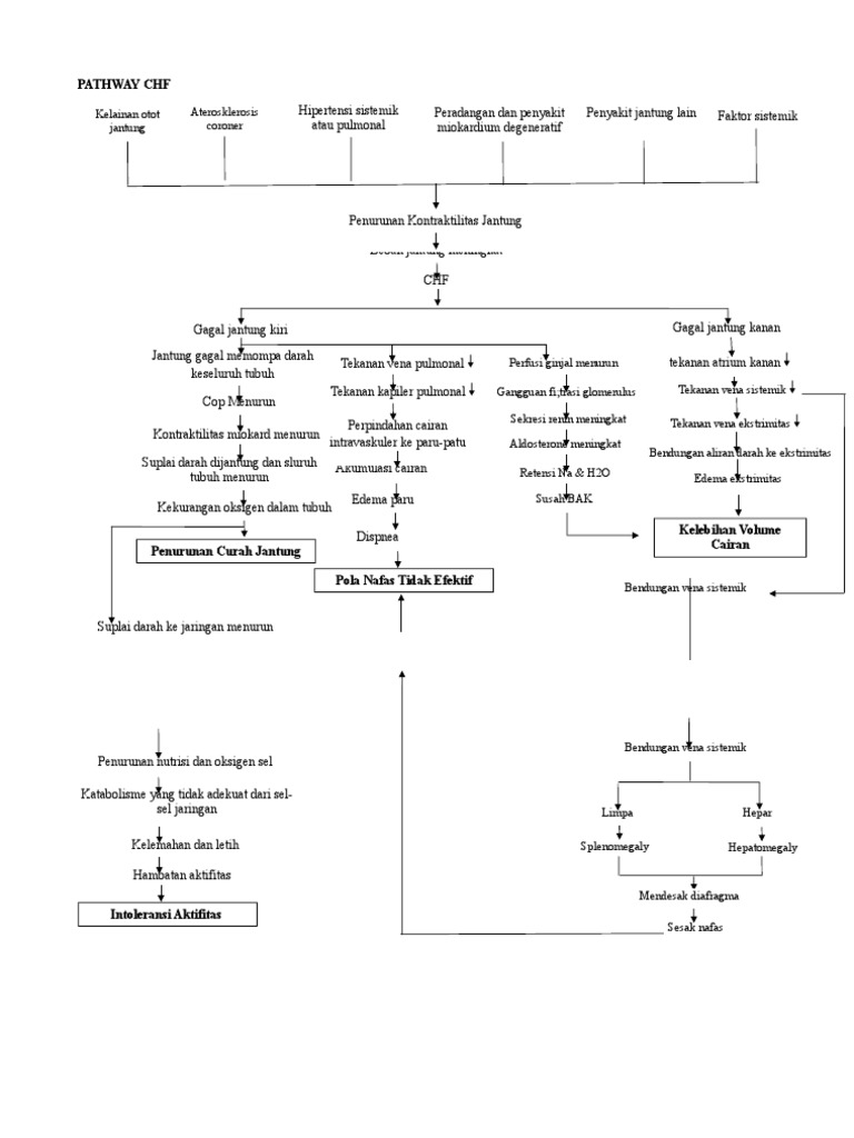 Pathway Chf
