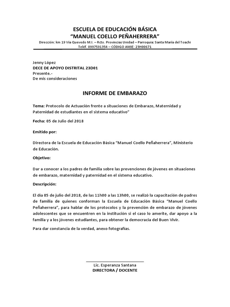 Informe de Embarazo | PDF