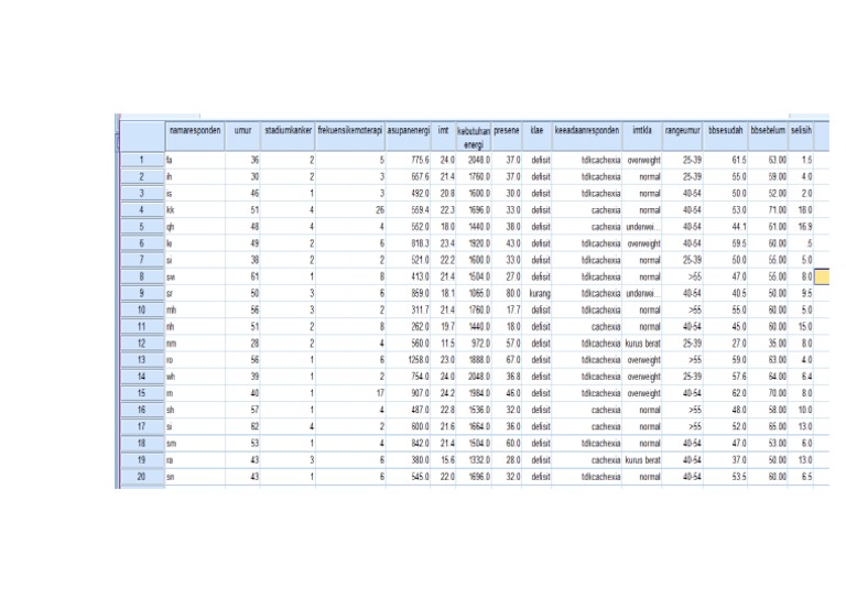 Data Mentah Skripsi | PDF