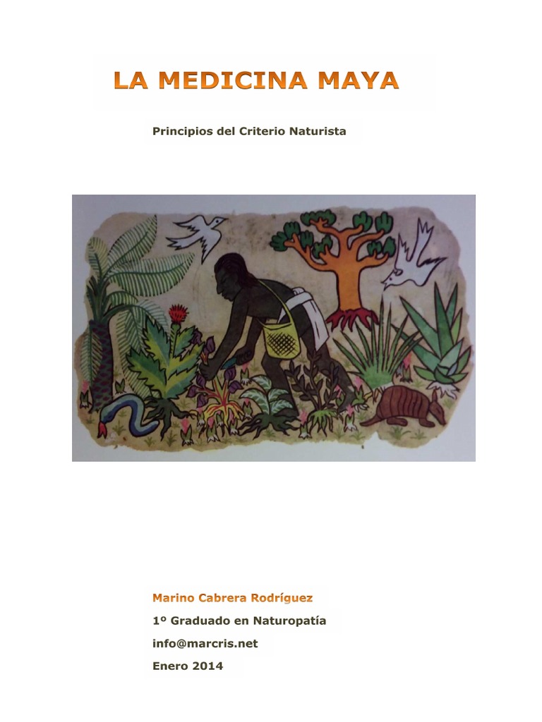 La Medicina Maya | Maíz | Civilización maya