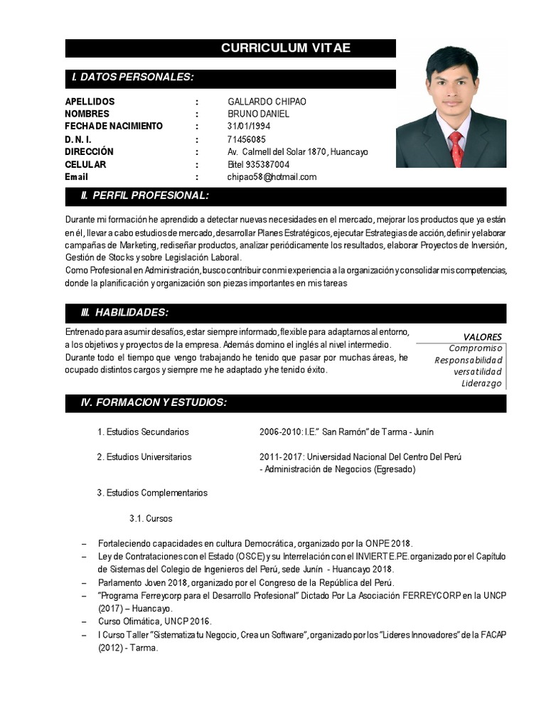 Curriculum Vitae Daniel Gallardo | PDF | Perú | Marketing