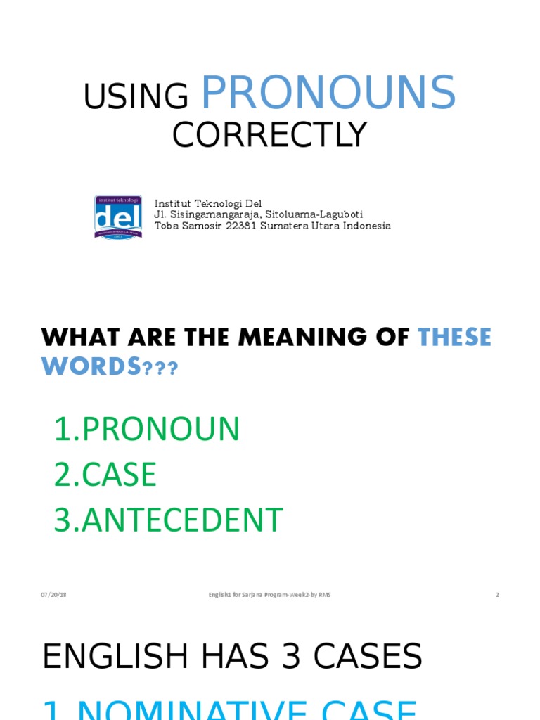 Using Pronouns Correctly | PDF