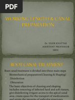 Ore Part 1 Study Plan | PDF | Dentistry