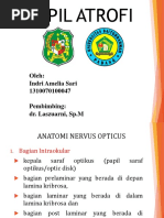 PPK Optic Atrophy | PDF | Pengembangan Diri | Sains & Matematika