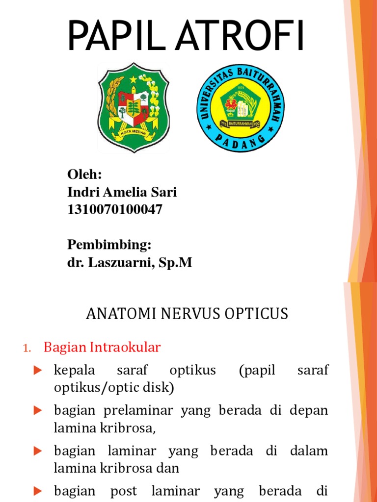 Papil Atrofi | PDF