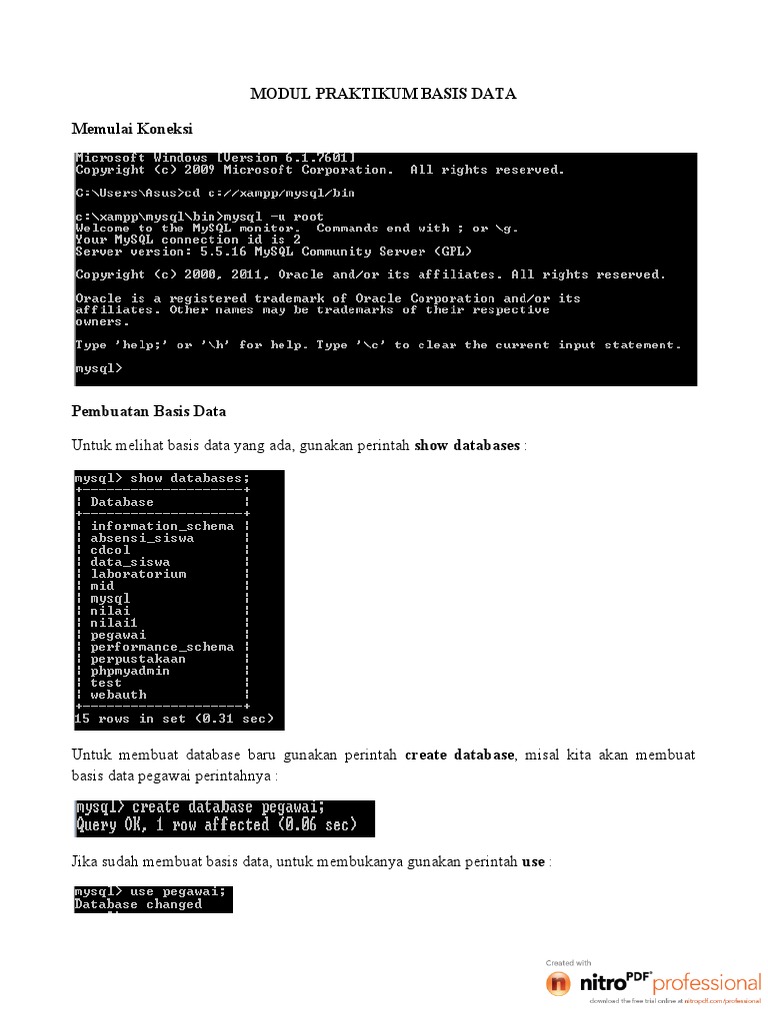 Modul Praktikum Basis Data | PDF