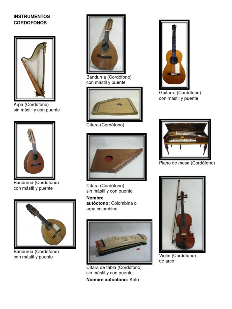 Instrumentos Cordofonos | PDF