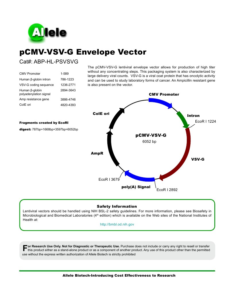 PCMV-VSV-G Vector | PDF | Viral Vector | Organisms