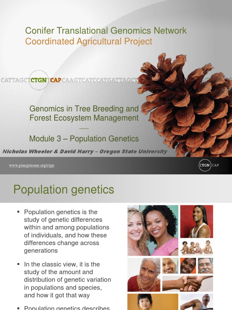 Genomics in Tree Breeding and Forest Ecosystem Management | PDF ...