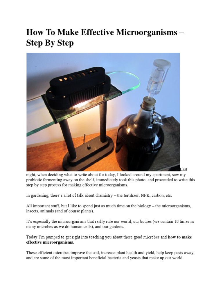 How To Make Effective Microorganisms - Step by Step | Download Free PDF ...