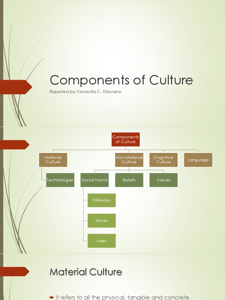 Key Components of Culture Explained | PDF | Value (Ethics) | Idea