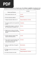 Cell City Worksheet Answer Key | PDF | Cell (Biology) | Cytoplasm