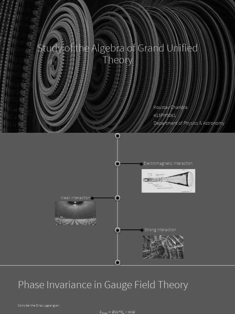 Algebra of GUT | PDF | Gauge Theory | Field (Physics)
