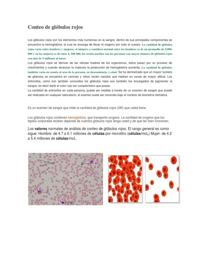 Conteo de glóbulos rojos: Valores normales y factores que afectan la ...