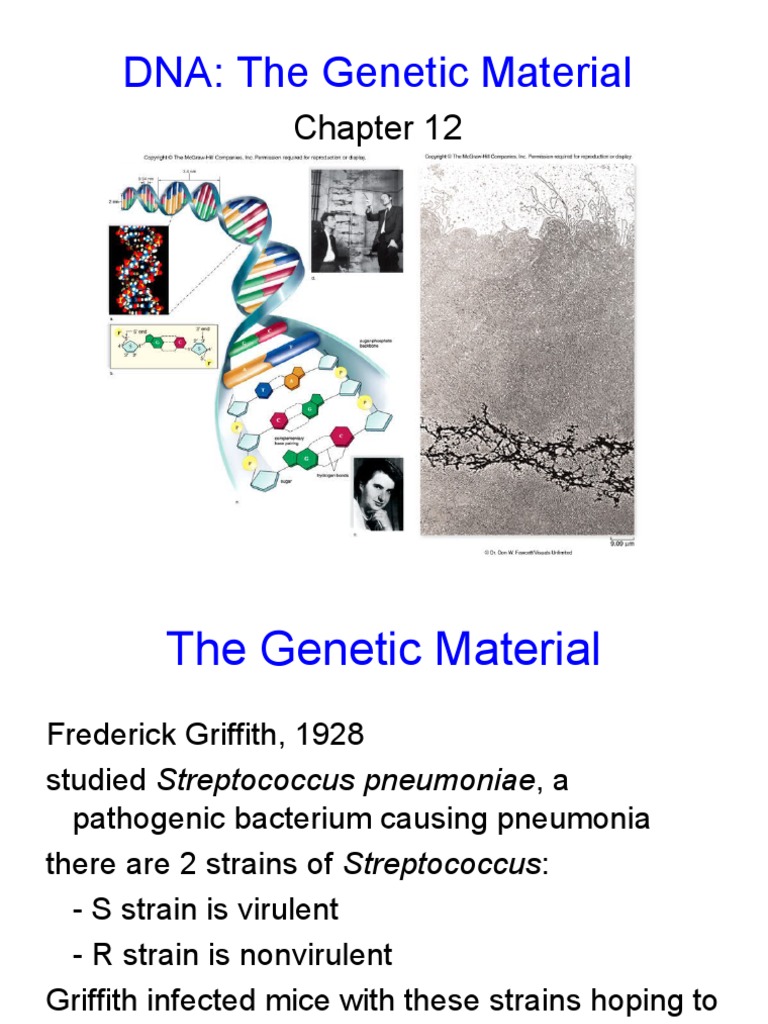 DNA: The Genetic Material | PDF | Dna Replication | Dna
