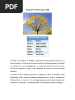 Sacha Culantro | PDF | Hierbas y especias | Alimentos