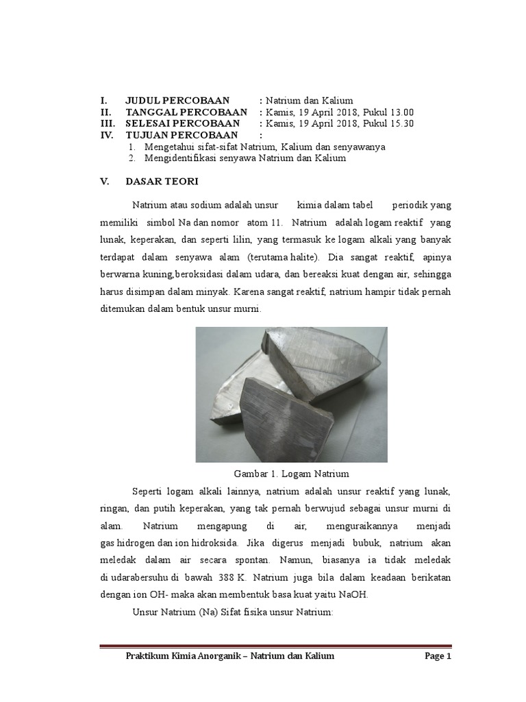 Natrium Dan Kalium | PDF