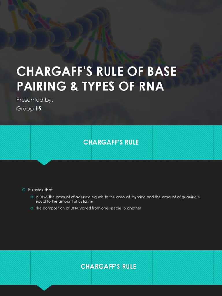 Chargaff's Rule of Base Pairing & Types of | PDF