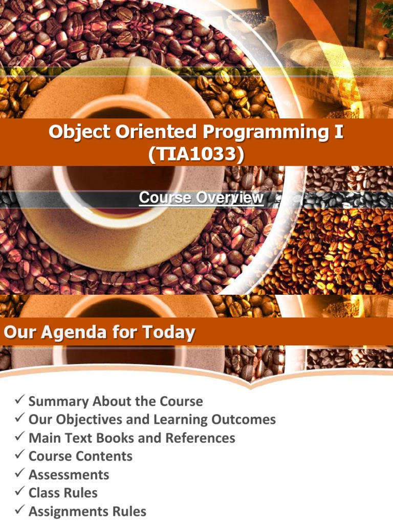 Object Oriented Programming I (TIA1033) : Course Overview | PDF