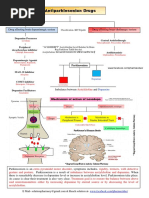 Steroidogenic Pathways Chart | PDF