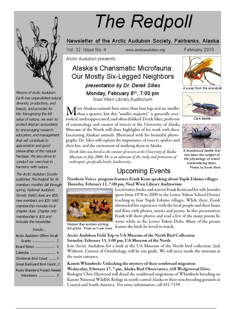 The Redpoll: Alaska's Charismatic Microfauna: Our Mostly Six-Legged ...