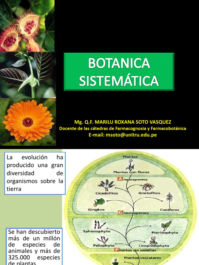 Botánica Sistemática | Descargar gratis PDF | Taxonomía (biología) | Botánica