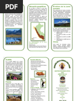 Triptico Region Sierra | PDF | Andes | Perú