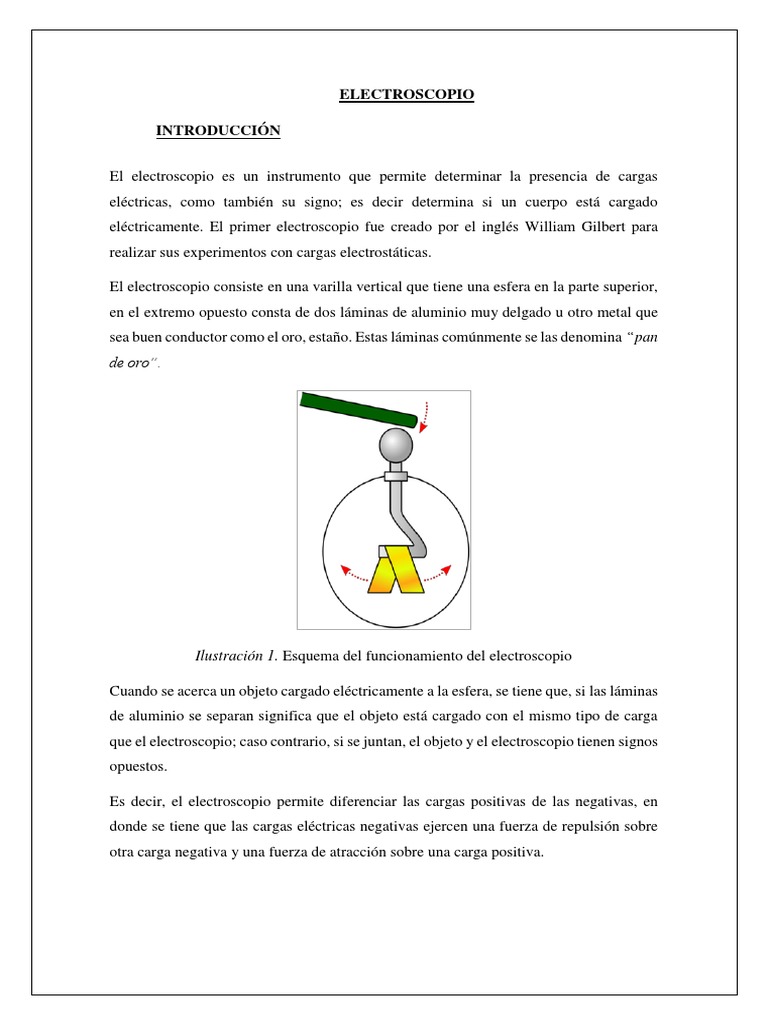 Electroscopio | PDF | Ciencias fisicas | Física