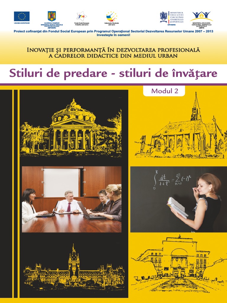 Stiluri de Predare PDF | PDF