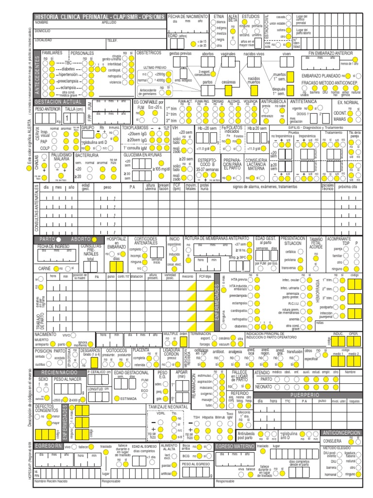 Carnet Perinatal | Parto | El embarazo