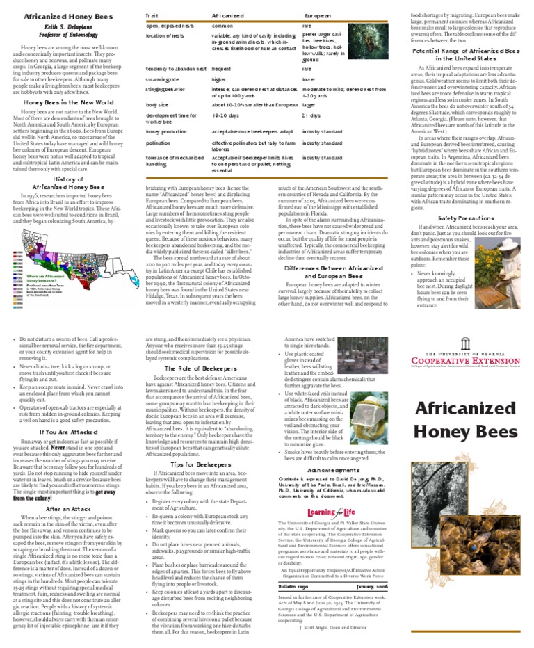 Understanding Africanized Honey Bees | PDF | Beekeeping | Bees