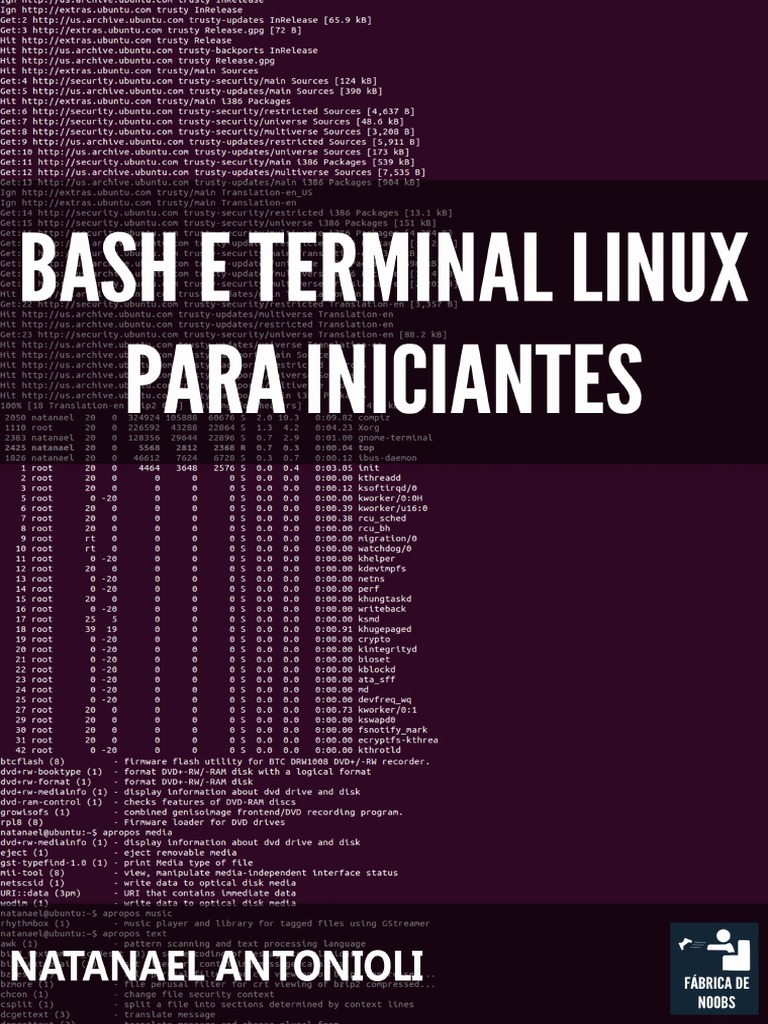 Bash e Terminal Linux para Iniciantes - Fábrica de Noobs | PDF | Linux ...