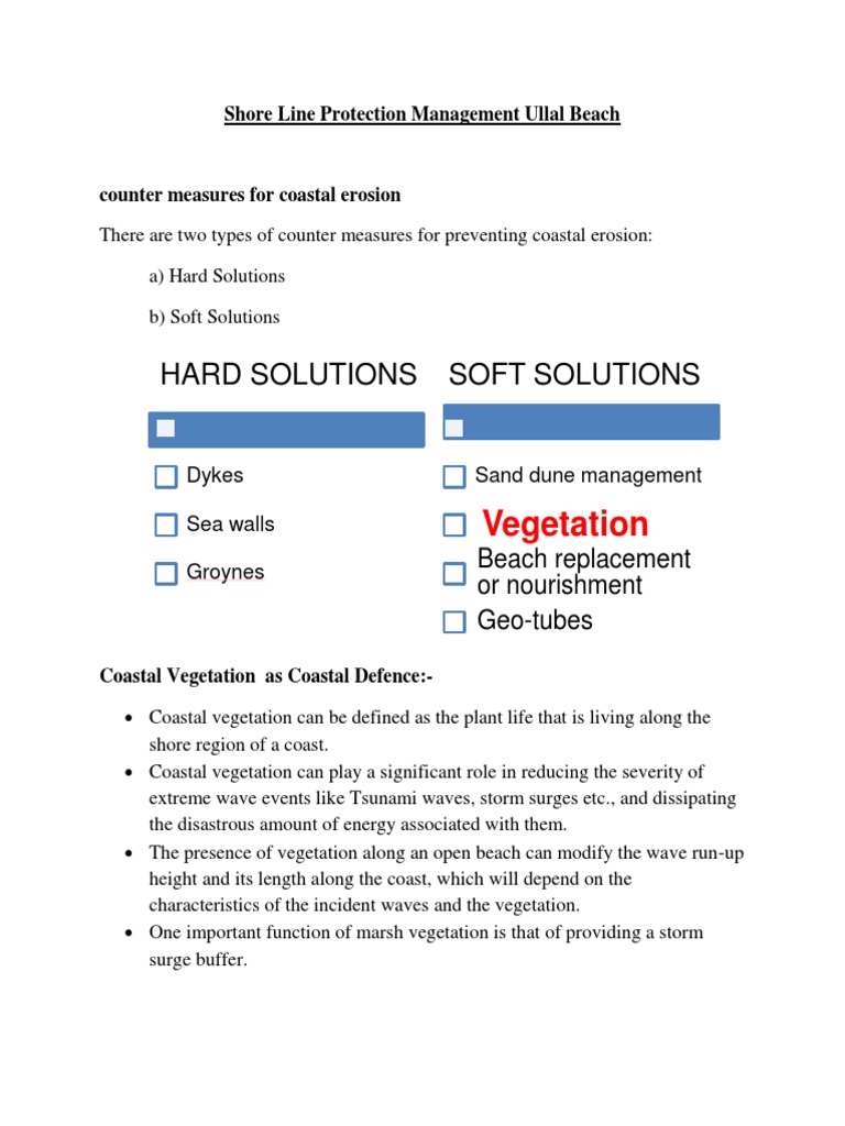 Shoreline Management | PDF