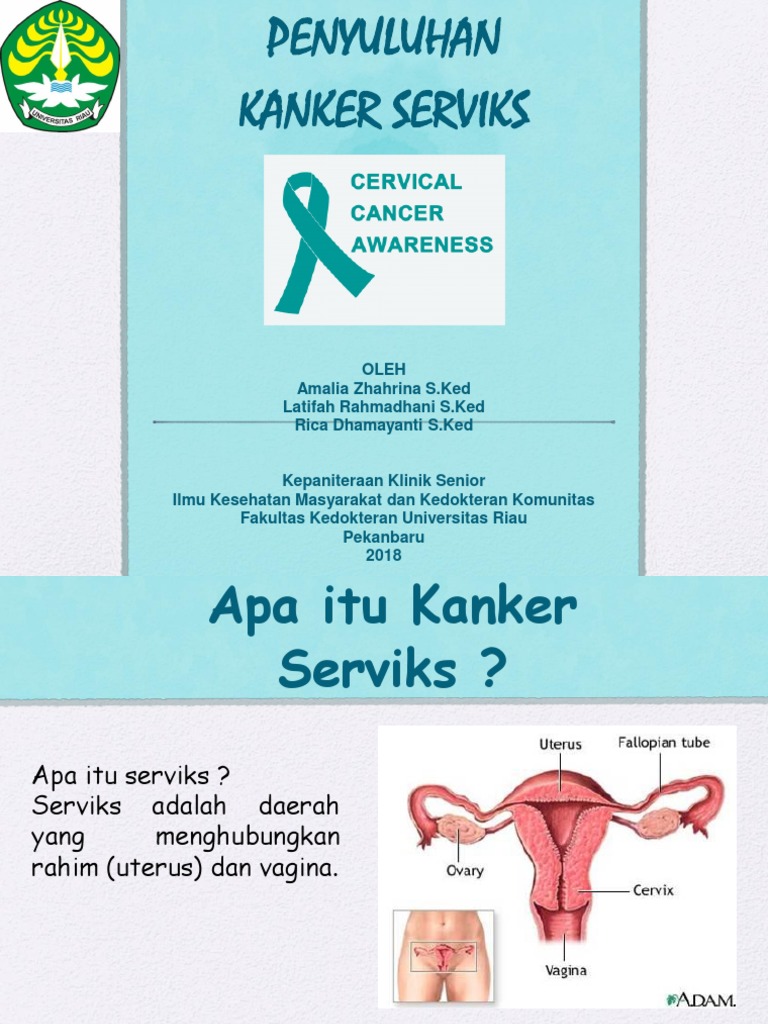 Penyuluhan Kanker Serviks | PDF