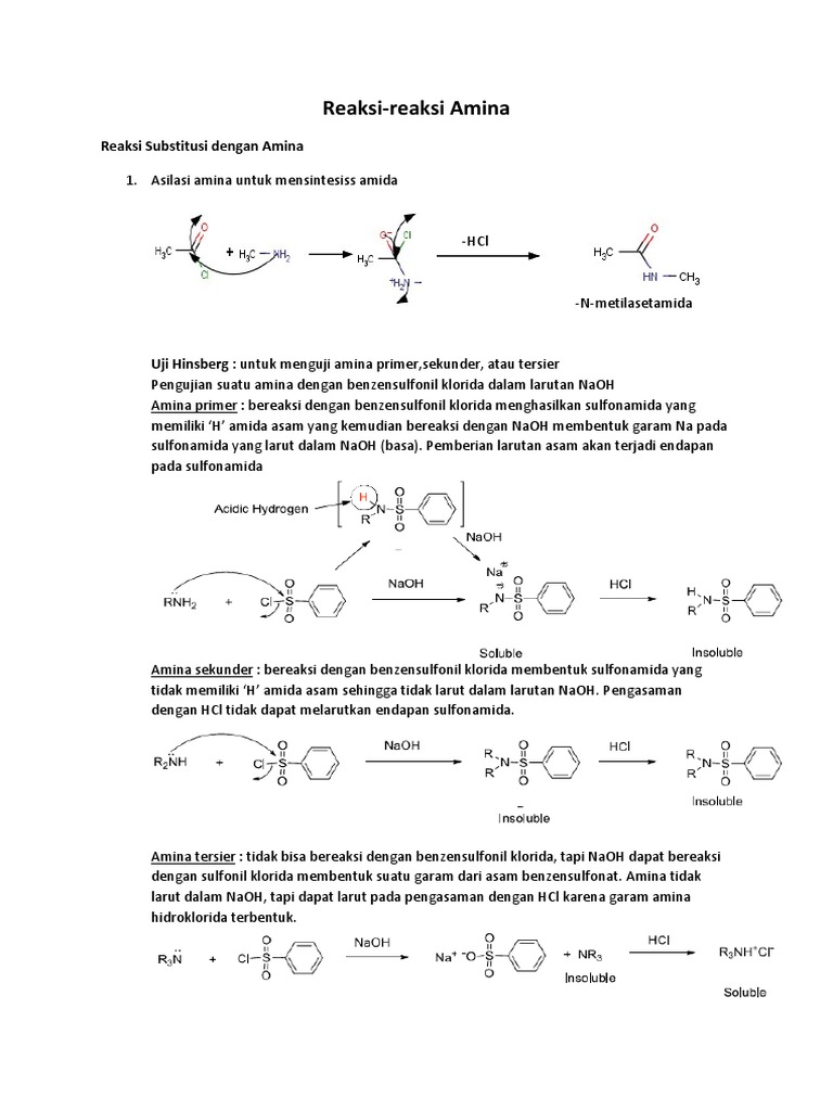 Reaksi Reaksi Amina | PDF