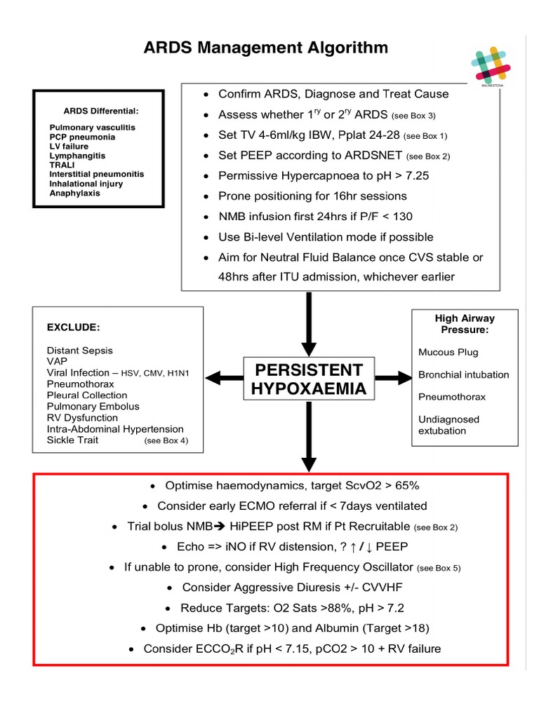 ARDS Management Algorithm | PDF