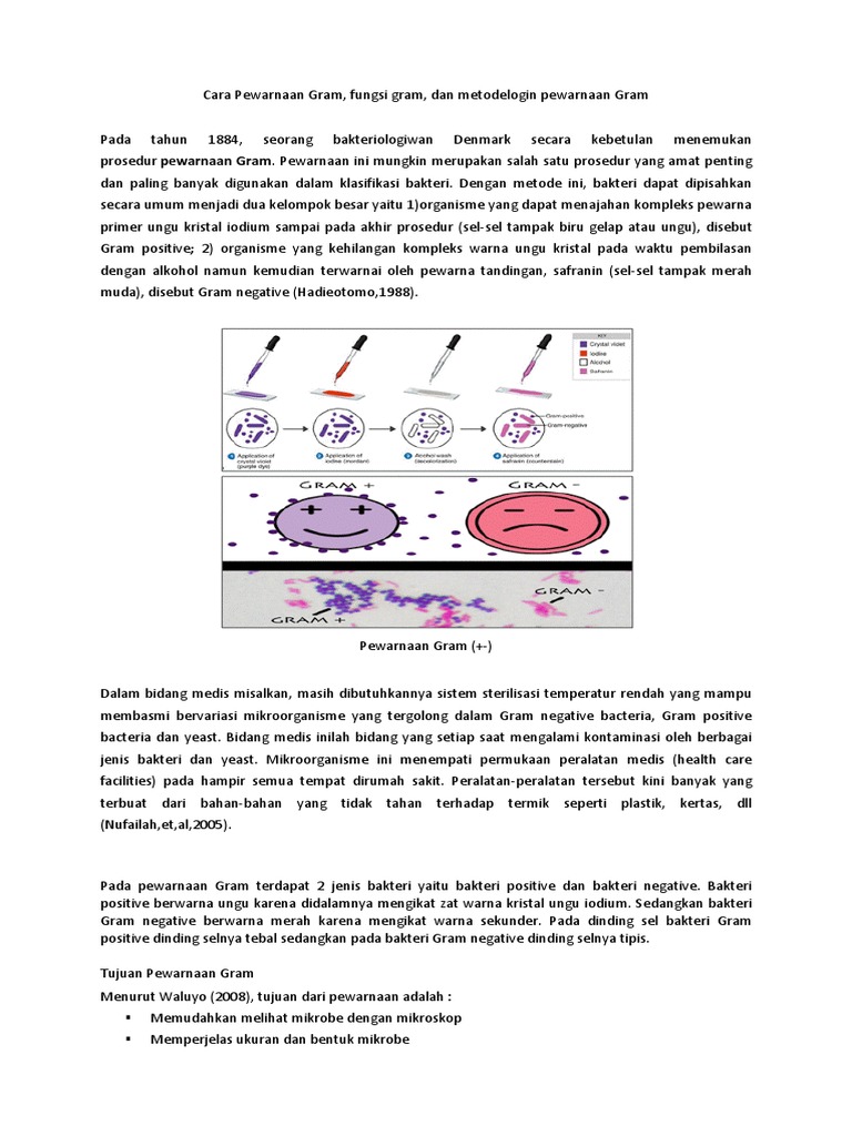 Cara Pewarnaan Gram | PDF
