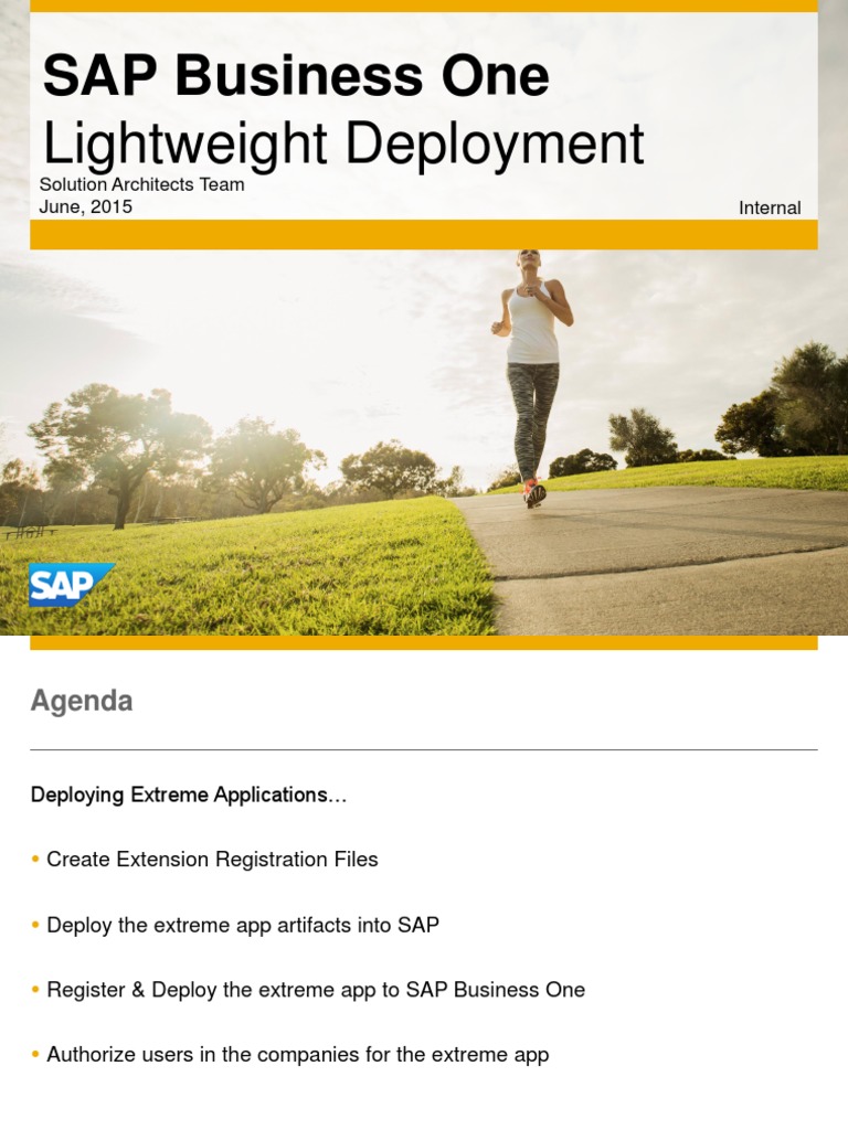 D 08 Lightweight Addon Deployment | PDF | Application Programming Interface | Application Software