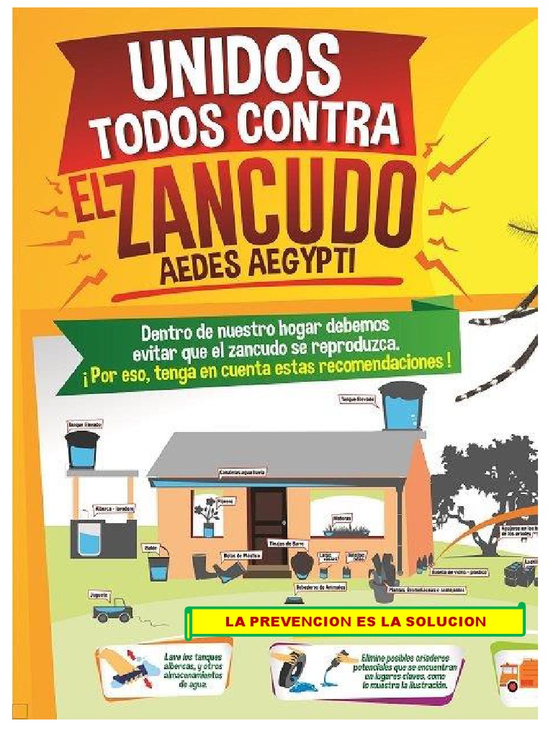 Poster Del Zika | PDF