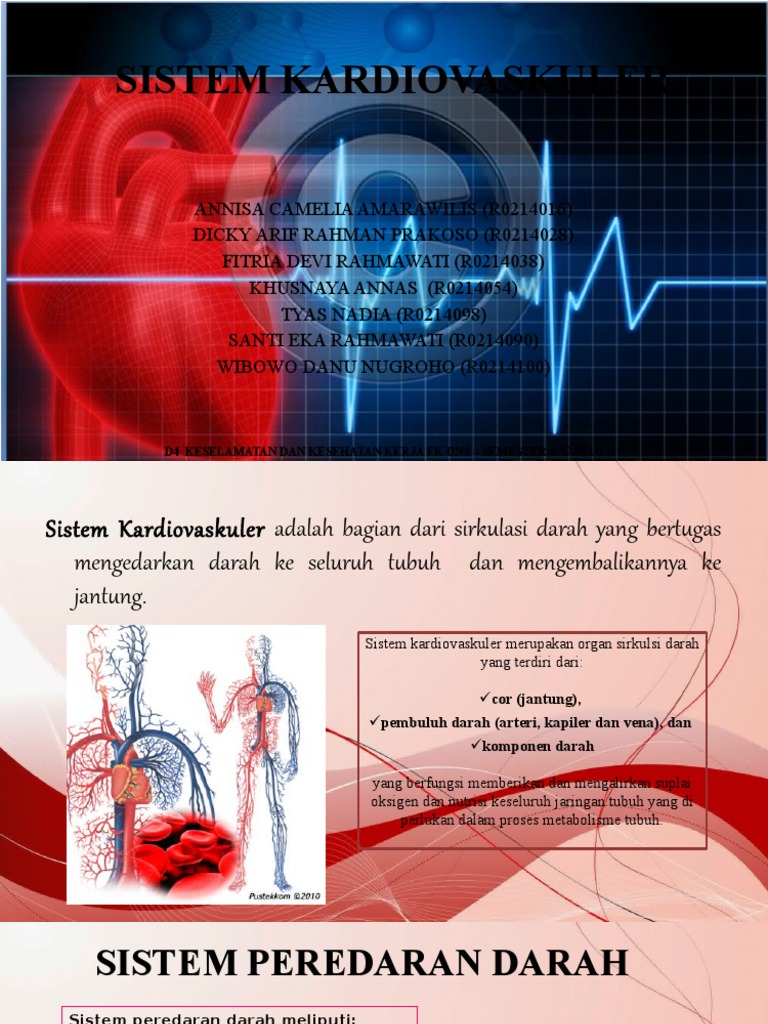 Sistem Kardiovaskuler | PDF