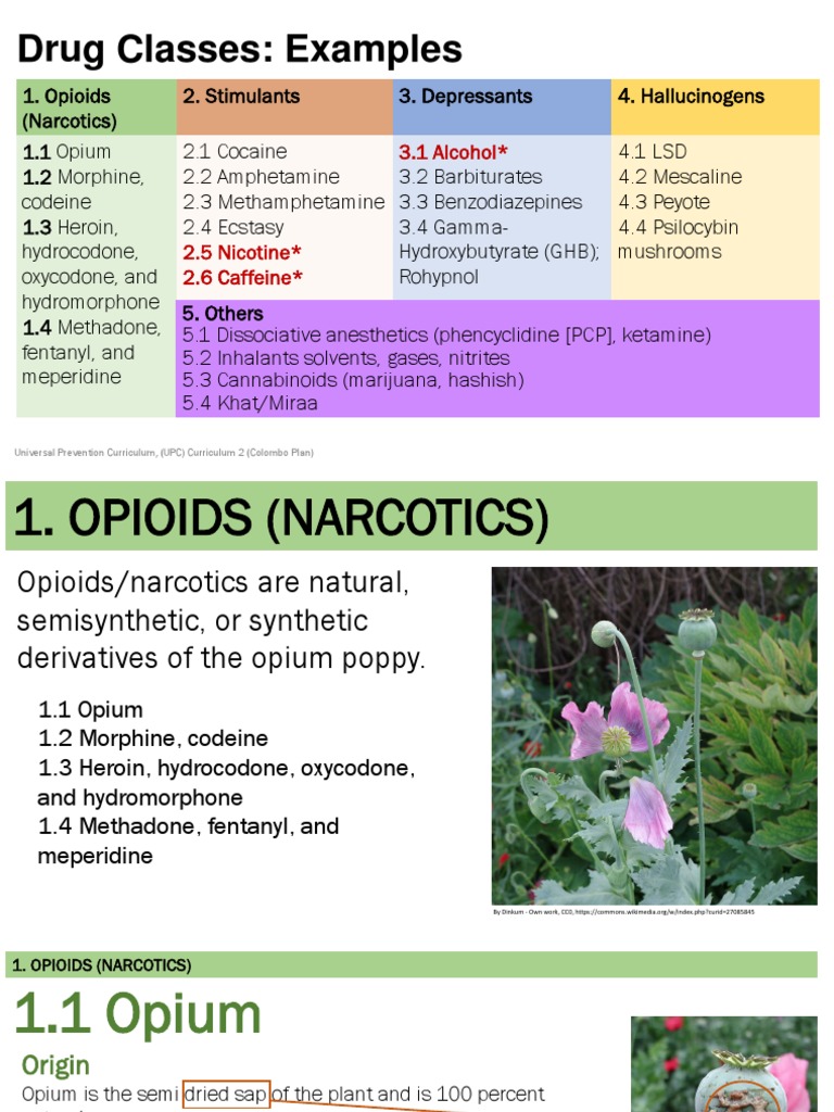 Overview of Drug Classes and Effects | PDF | Stimulant | Opioid