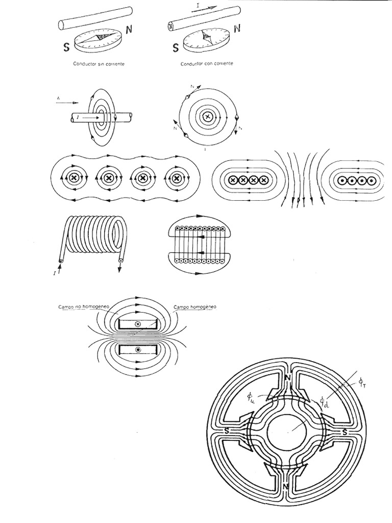 Atlas of Neuroanatomy and Neurophysiology - Frank H. Netter | PDF
