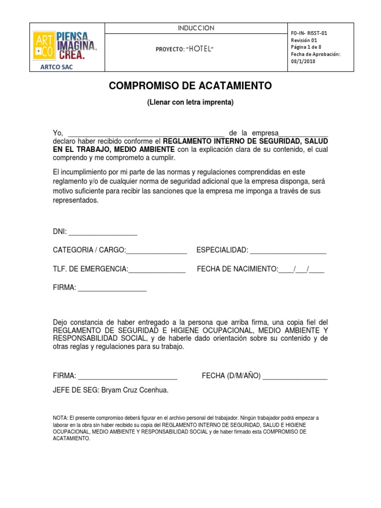 01-Compromiso de Acatamiento Del Risst | PDF
