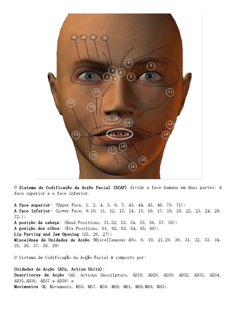 As principais partes da face humana e os componentes do Sistema de ...