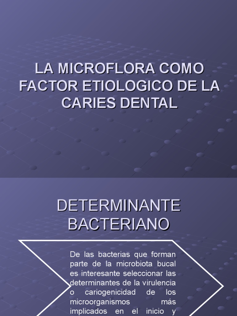 Microflora y Caries Dental: Bacterias Clave | PDF | Las bacterias ...