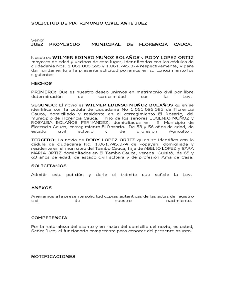 Solicitud de Matrimonio Civil Ante Juez | PDF | Matrimonio civil | Gobierno y personalidad