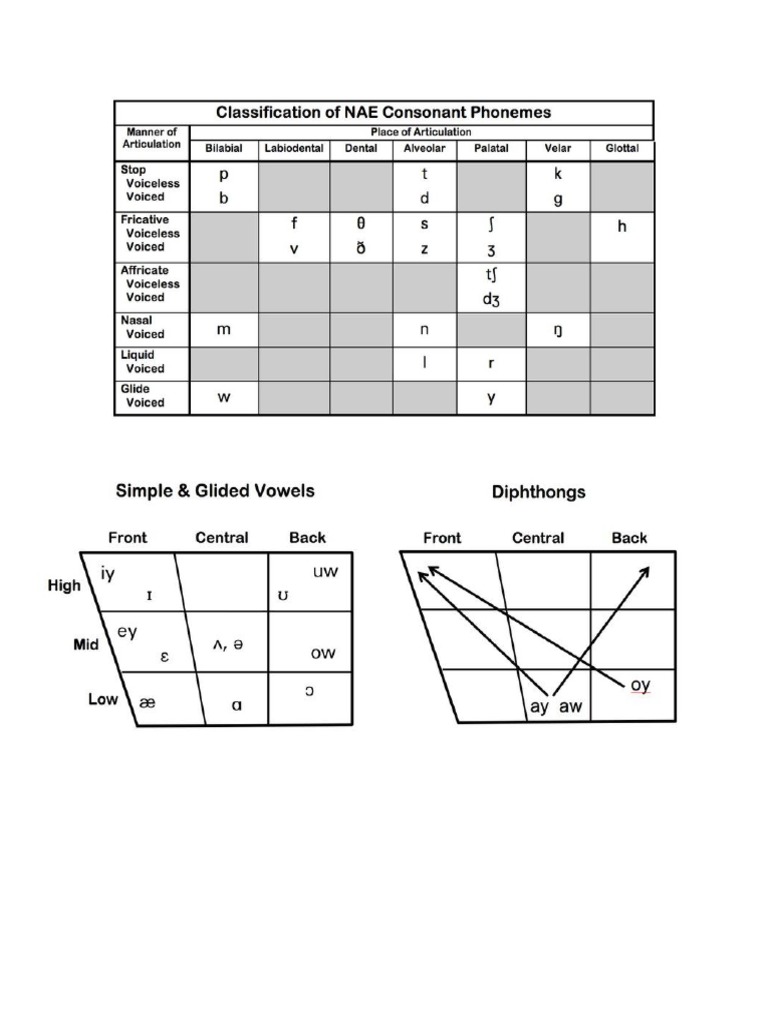 Consonant Classification Chart | PDF | Consonant | Languages