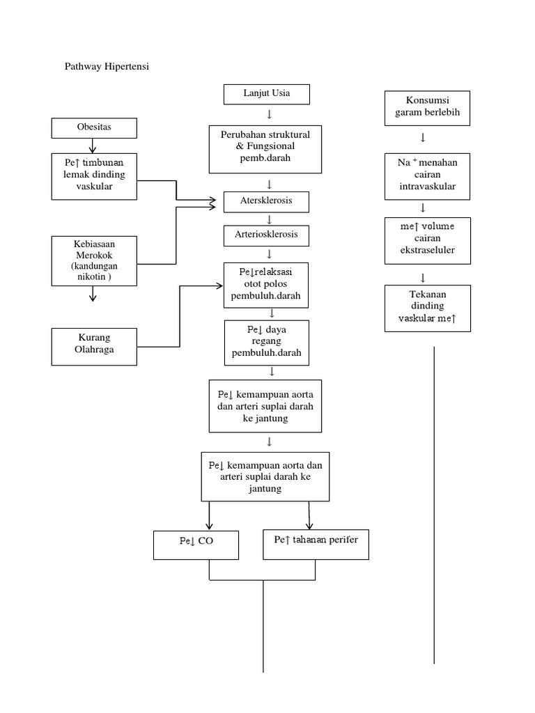 Pathway Hipertensi | PDF
