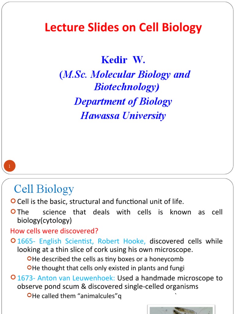 Lecture Slides On Cell Biology: Kedir W. (M.Sc. Molecular Biology and ...