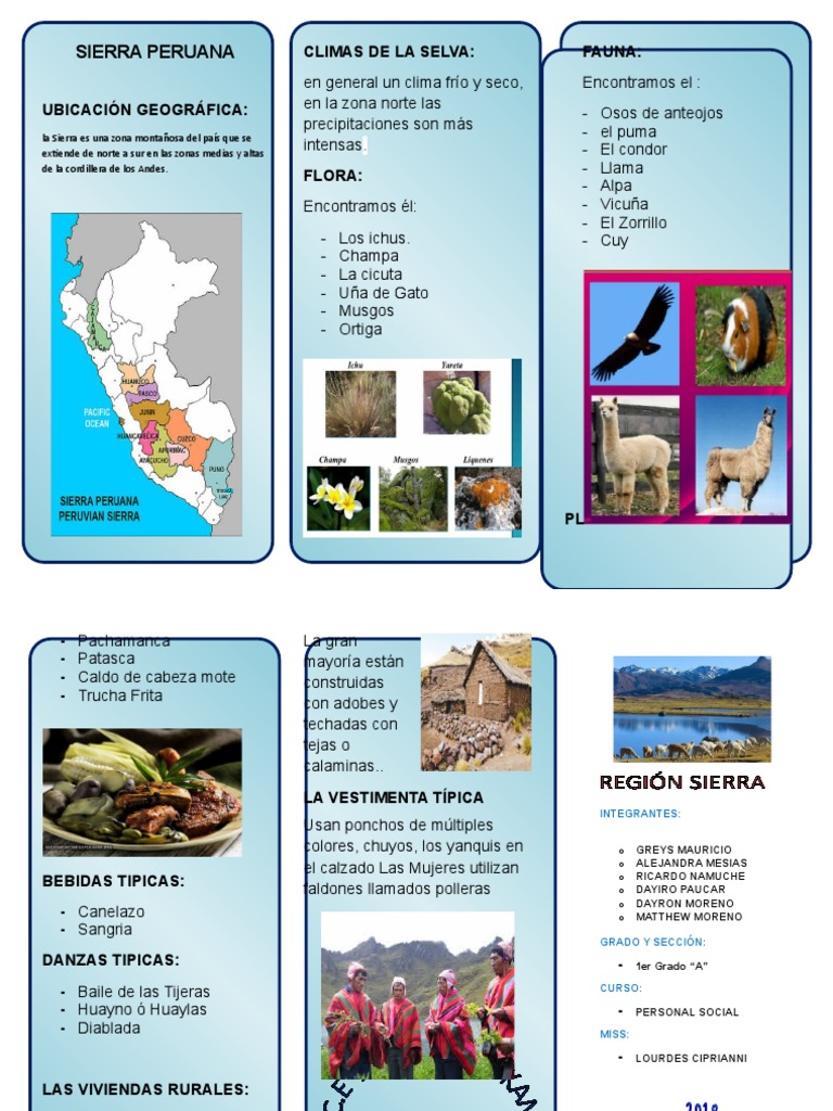 Triptico Sierra Peruana | PDF | Naturaleza